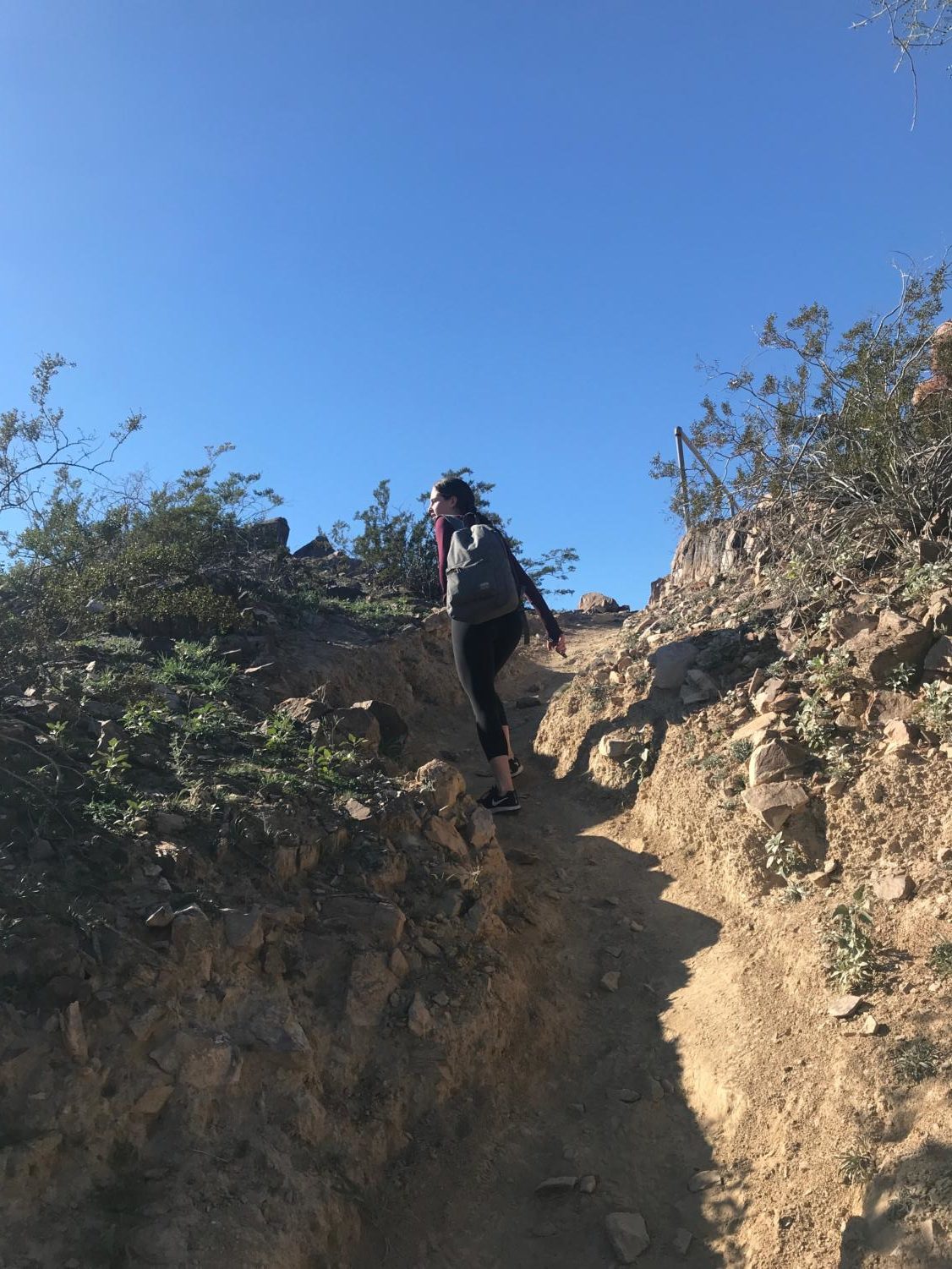 Gators Were Meant to Hike and Climb – XPress